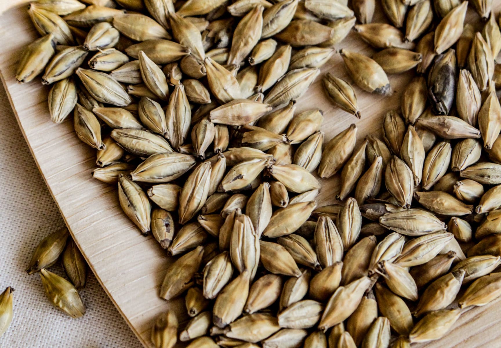 Infusion Biologique de France 「Malt」 - Curiousitea