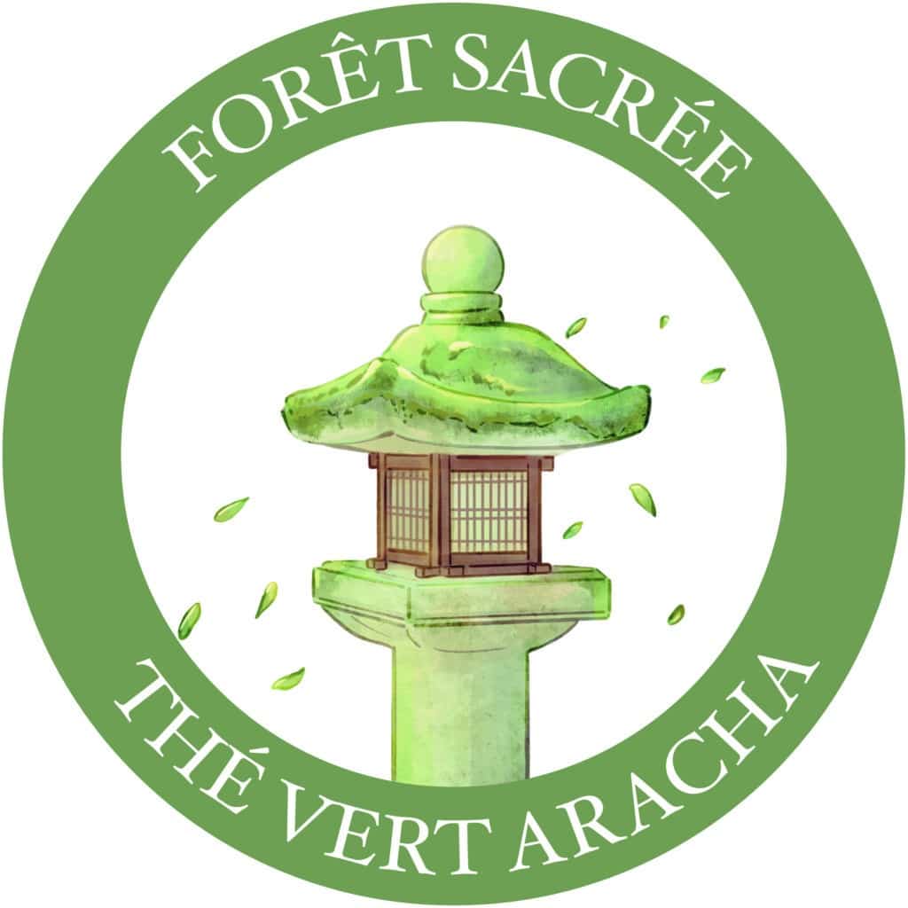 Thé Vert Aracha du Japon「Forêt Sacrée」- Cultivar Yabukita • Curiousitea
